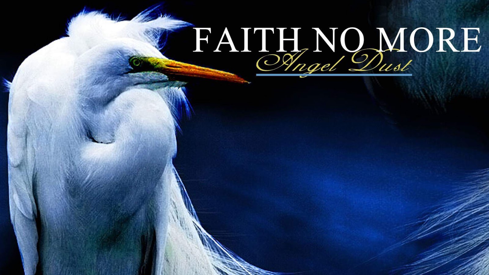 FNM4EVER: Faith No More Fans: Wallpapers FNM X4