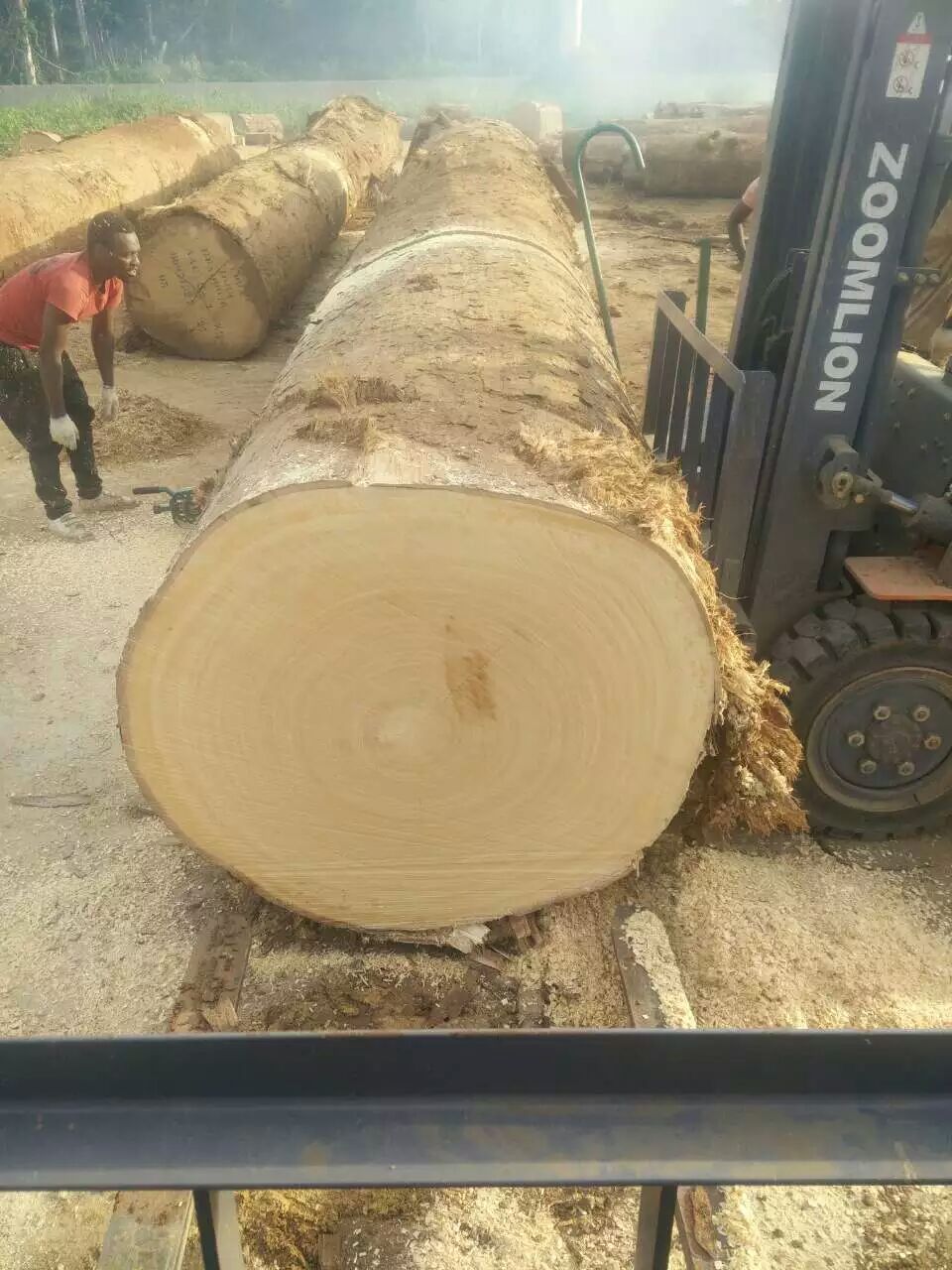 Engineered Wood Veneer-Fineline Veneer-UV Wood Paint: Rotary Ayous ...