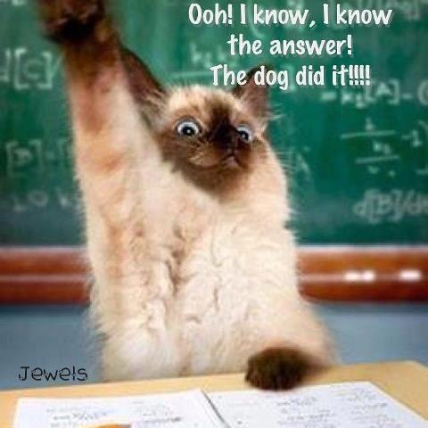 Mayor Keith Hobbs of Thunder Bay, Ontario, Canada....TOON's and More ...