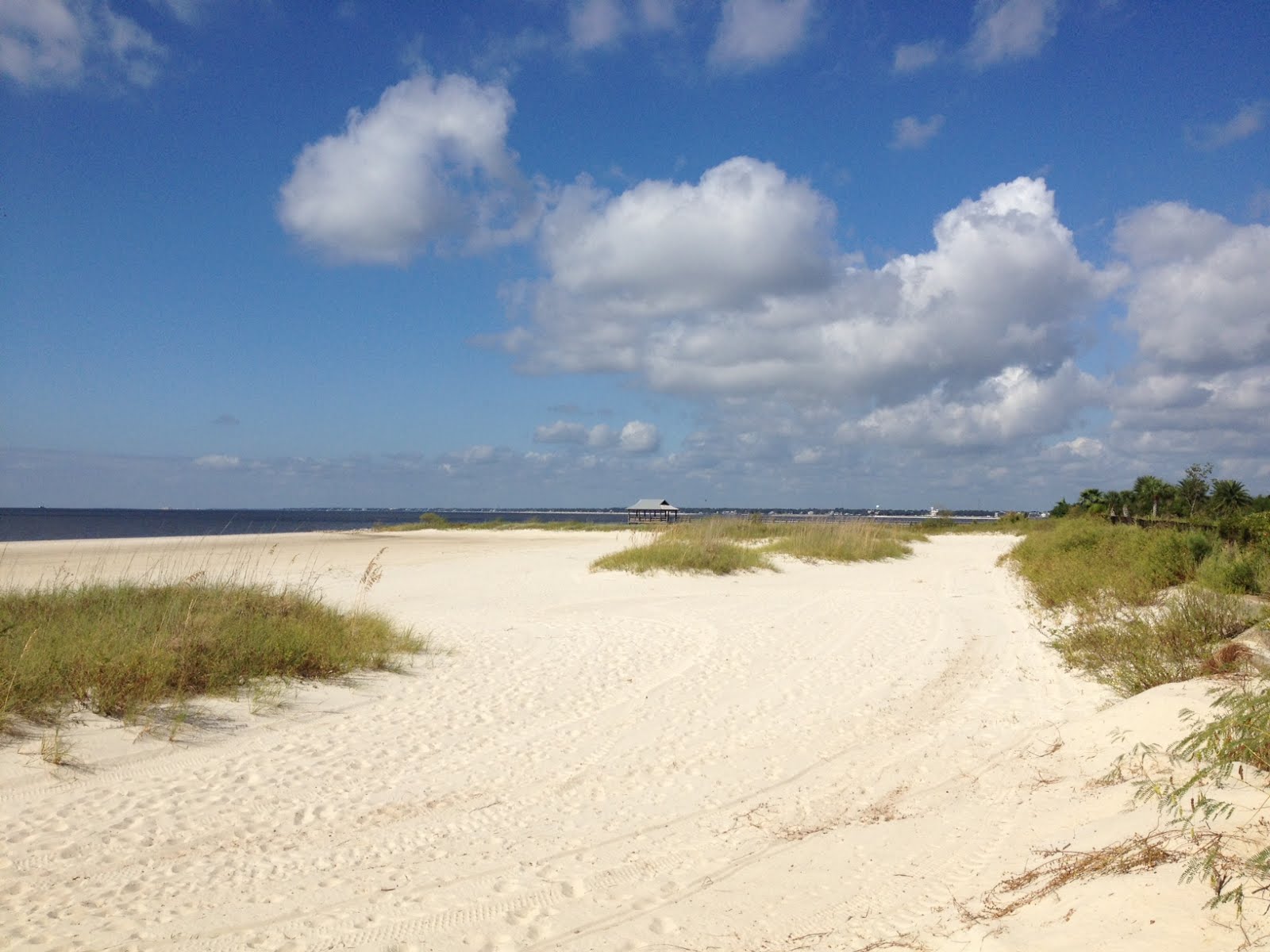 CoyoteSwamp: Biking to Henderson Point