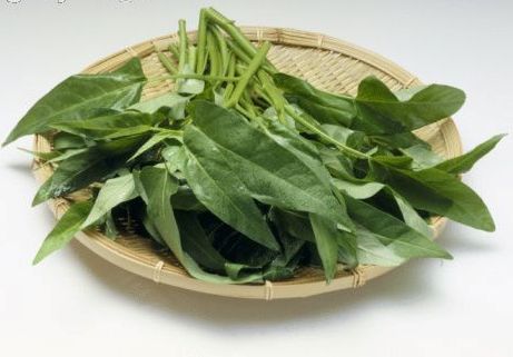 my blog: Benefits of water spinach