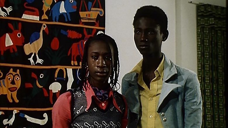 A'NAALA: DISCOVERING AFRICAN CINEMA.