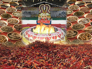 Danvantri Peedam - Universal Peedam: Nikumbala Yaagam for world peace ...