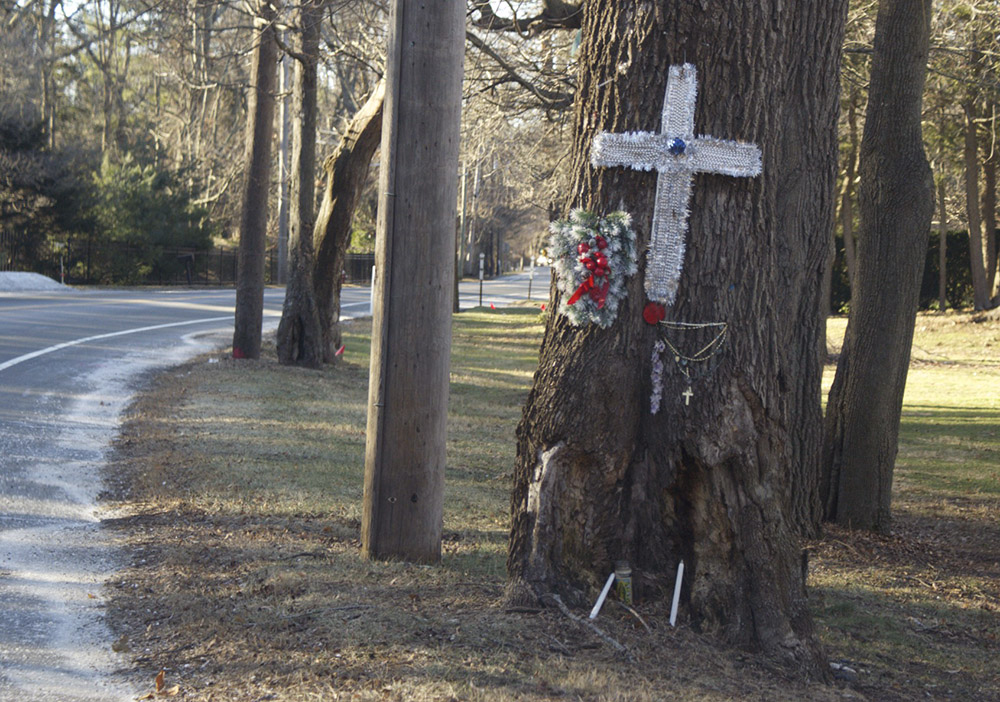 A Picture Each Day: Roadside Memorial