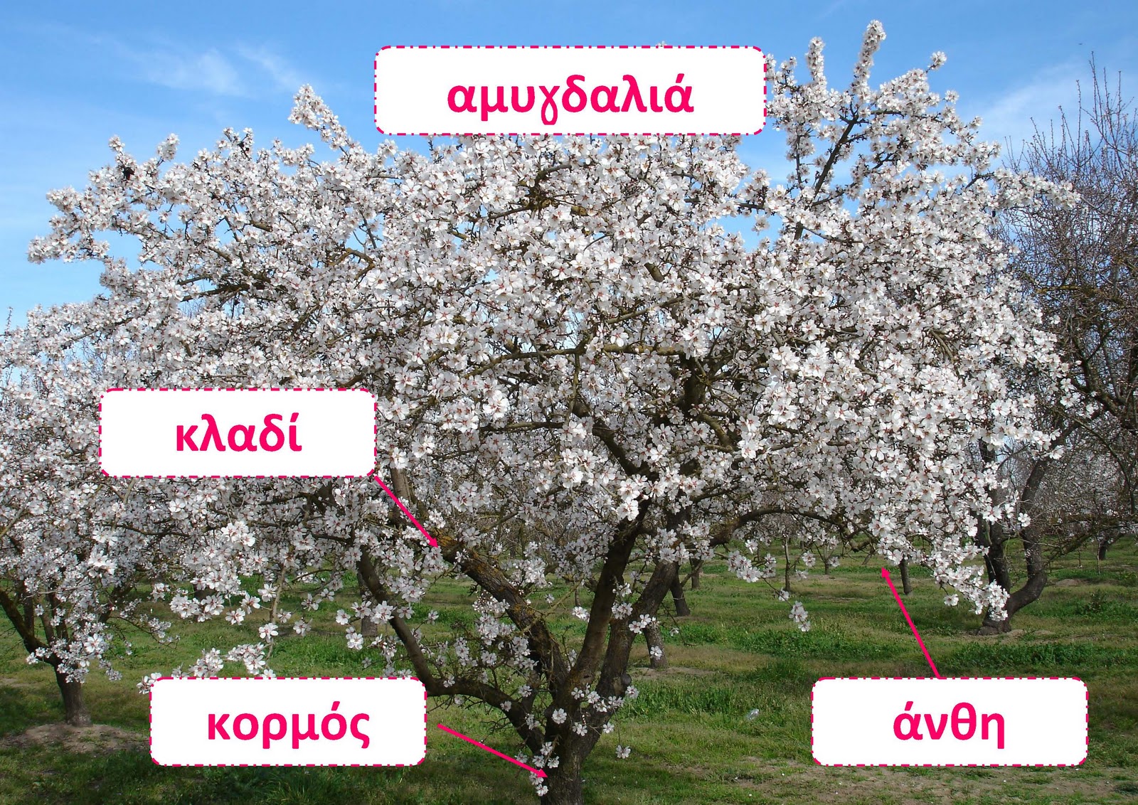 dreamskindergarten Το νηπιαγωγείο που ονειρεύομαι !: Λίστες αναφοράς ...