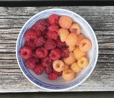 Harvest Monday - October 24, 2016