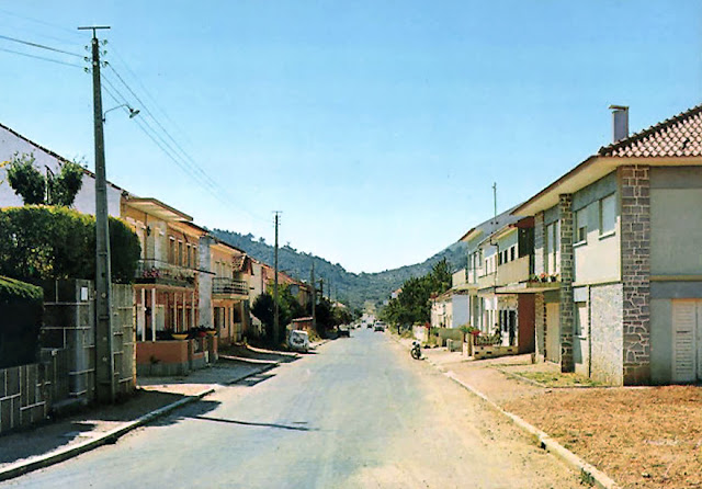 Retratos de Portugal: Minde - Avenida José Antonio de Carvalho