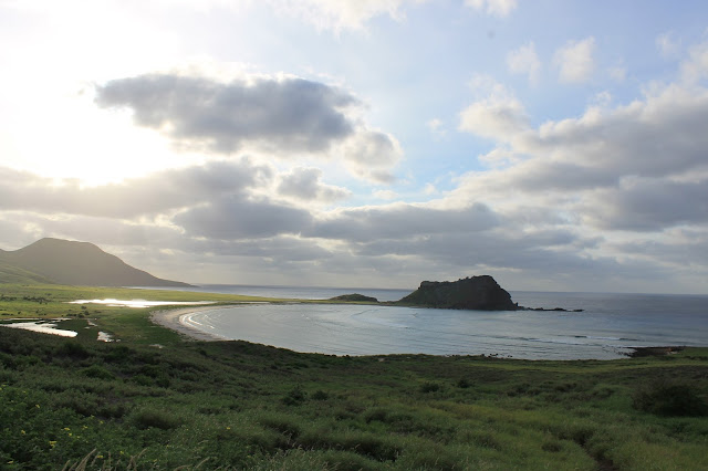 Biodiversidad de "El Bajío Profundo": ISLA CLARIÓN, ARCHIPIELAGO DE ...