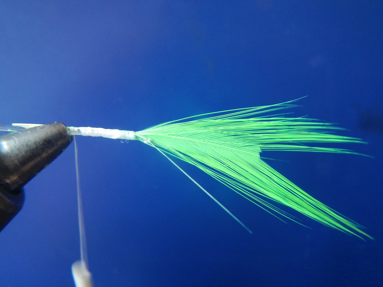 The Gourmet Sportsman: Gourmet Silverside Minnow