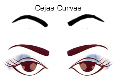 Cosmeticos D.F.: Cejas: conoce las distintas formas para cada tipo de ...