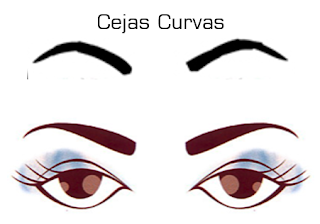 Cosmeticos D.F.: Cejas: conoce las distintas formas para cada tipo de ...