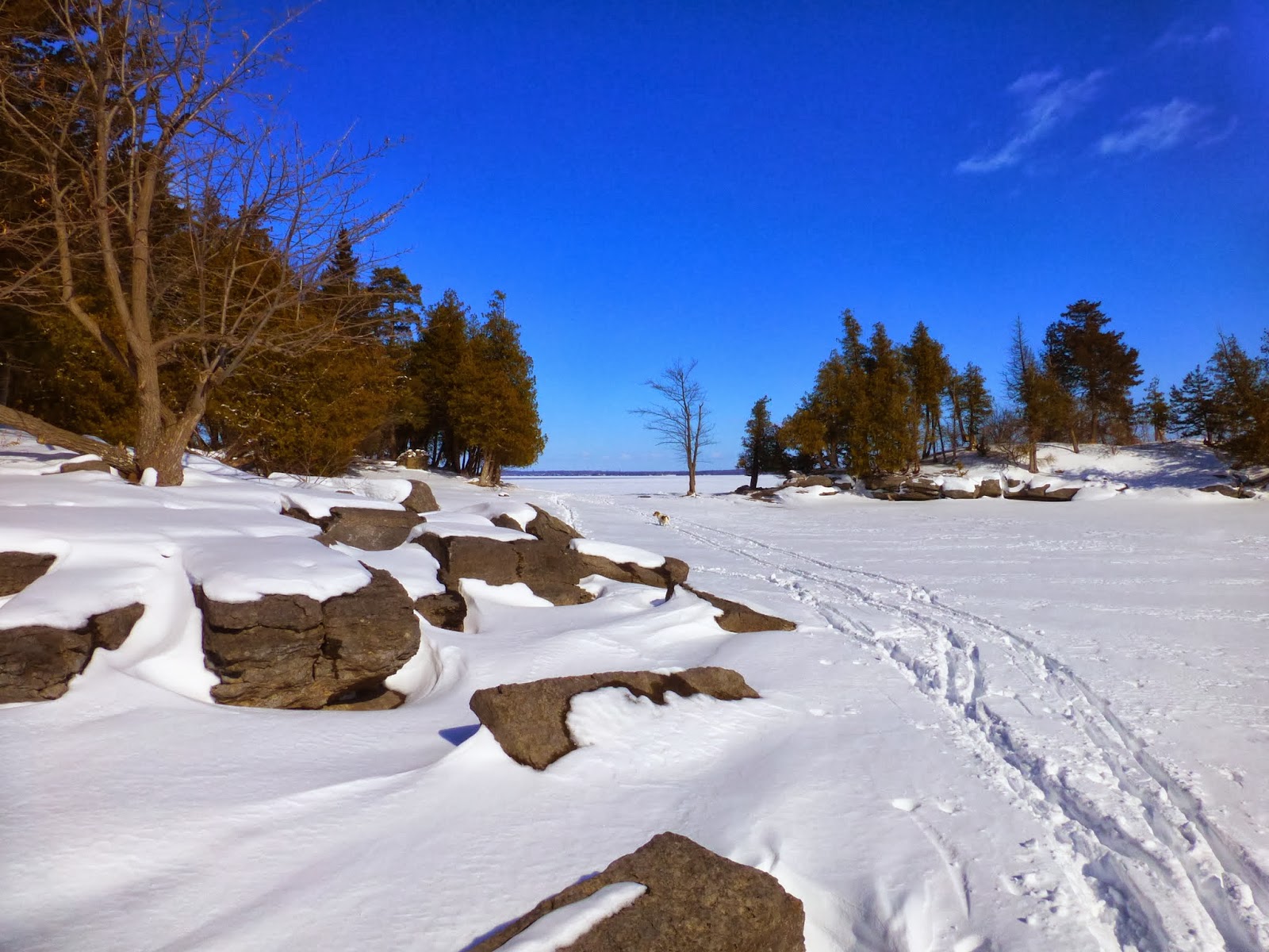 Off on Adventure: XC Ski on Valcour Island (near Plattsburgh, NY) - 2/16/14