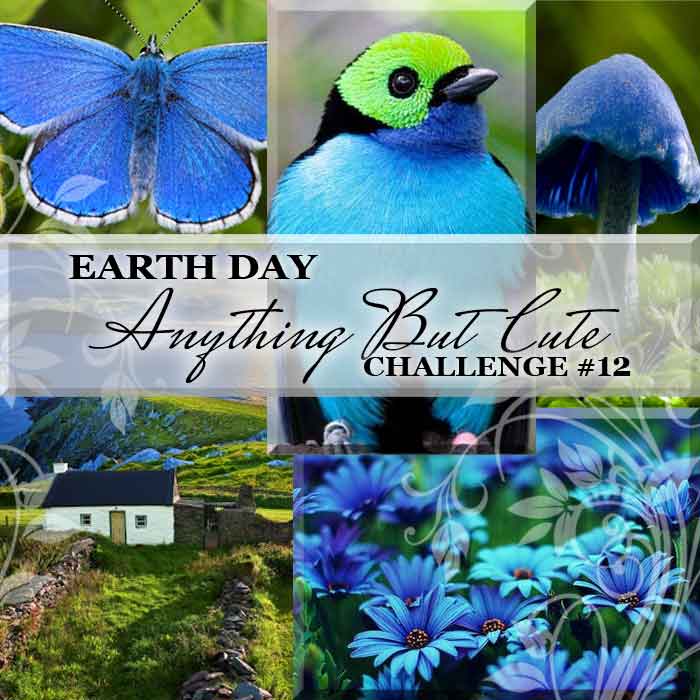 Anything But Cute: Challenge #12 - April - Earth Day