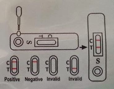 PHARMACY: How to Use a Pregnancy Test Kit?