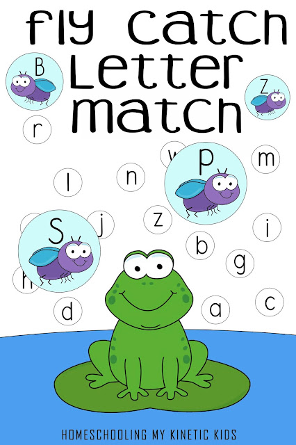 Fly Catch Letter Match Game