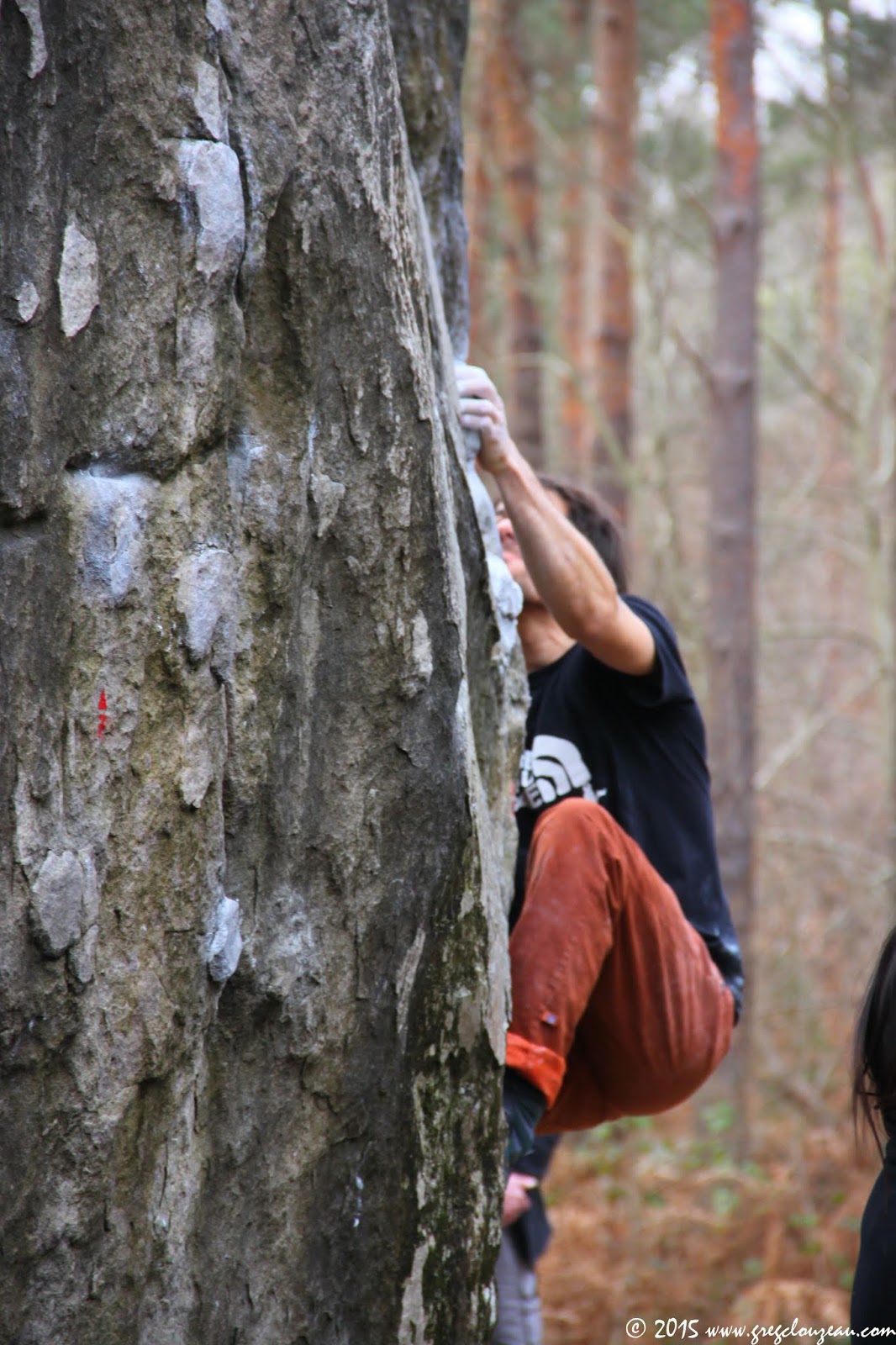 mars 2015 ~ FontaineBleau Passion