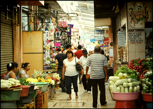 Our Adventures House Sitting: A Trip to the Market
