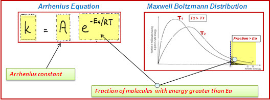 IB Biology/Chemistry: April 2012