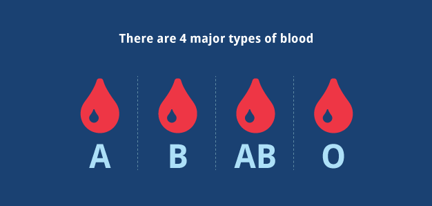 What's My Blood Type