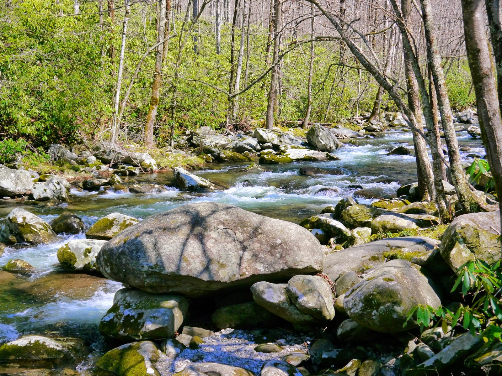 American Travel Journal: Little River Trail - Great Smoky Mountains ...