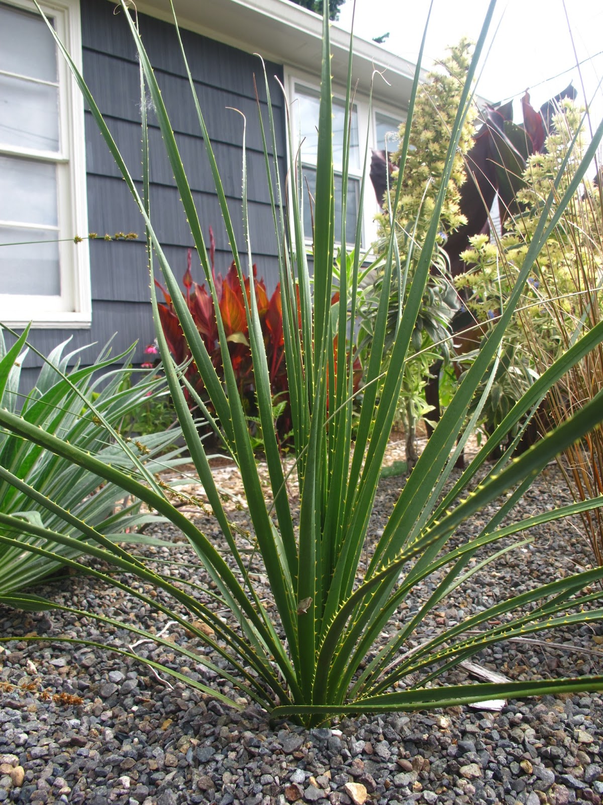 Just a girl with a hammer: At last