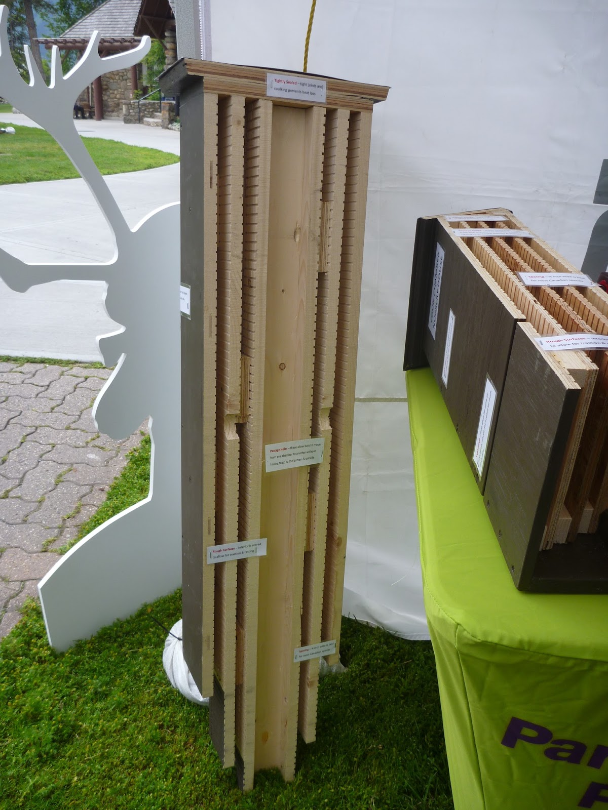 Whispers in the Dark: Part 4. Provide Bat Roosting Habitat on Your Property