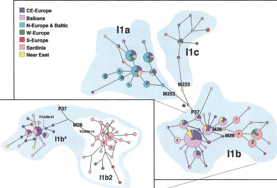 KurdishDNA: Where does I2a2a-M223 (old I2b1) come from?
