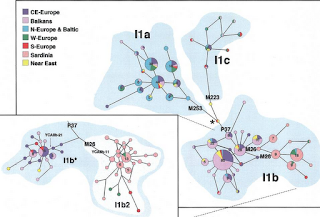 KurdishDNA: Where does I2a2a-M223 (old I2b1) come from?