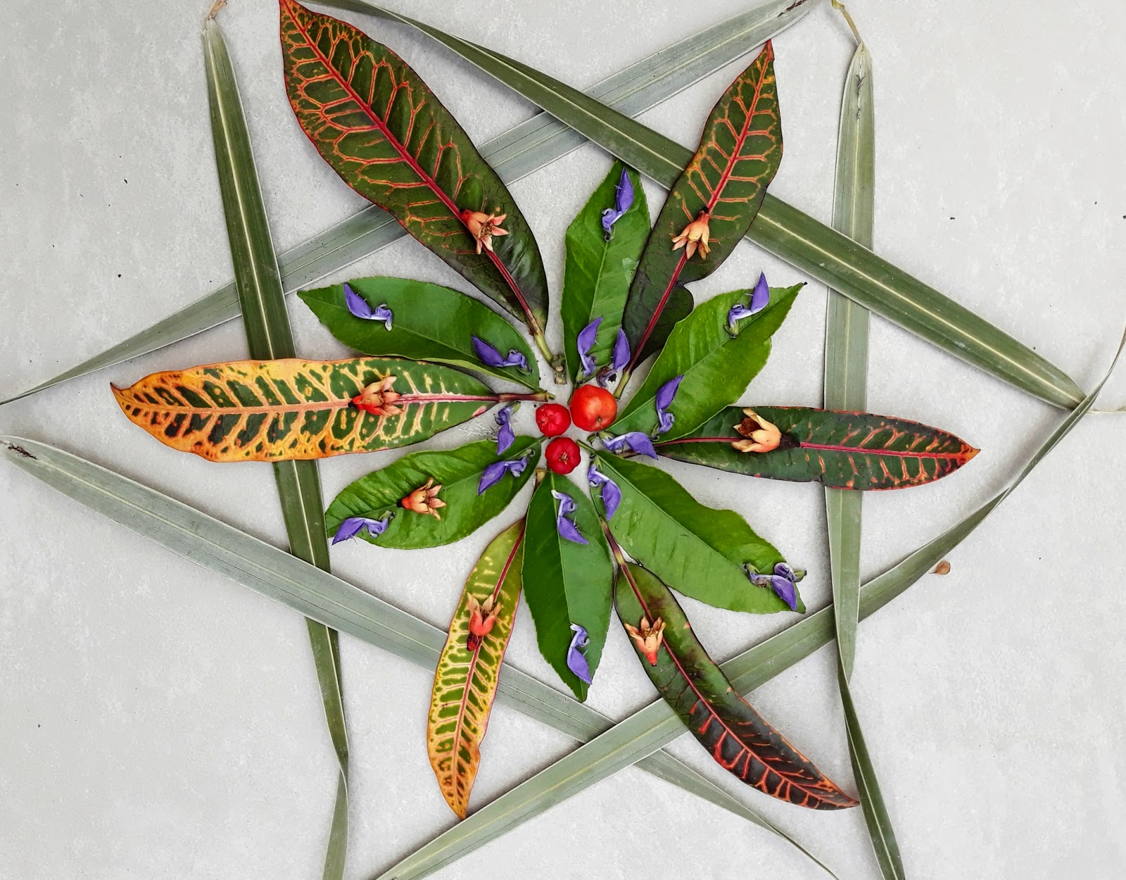 Arte Efemera Com Folhas - LIBRAIN