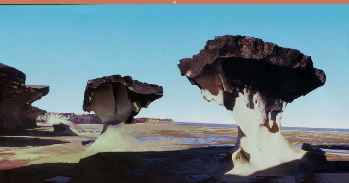 ဒဂုံဘူမိ: THE TECTONIC EVOLUTION OF MYANMAR A BRIEF OVERBIEW