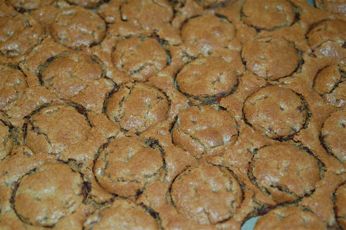 Susan's Sweet Sensations: Chocolate Chip Push-up Pops