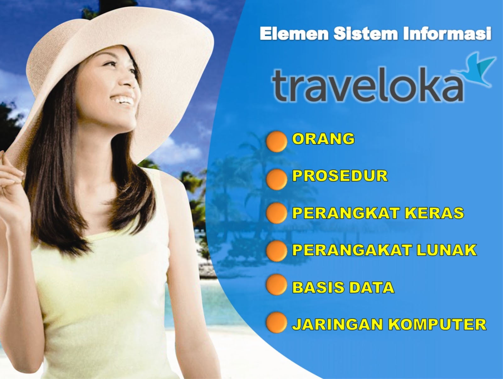 FUZysteam: Elemen Sistem Informasi Traveloka