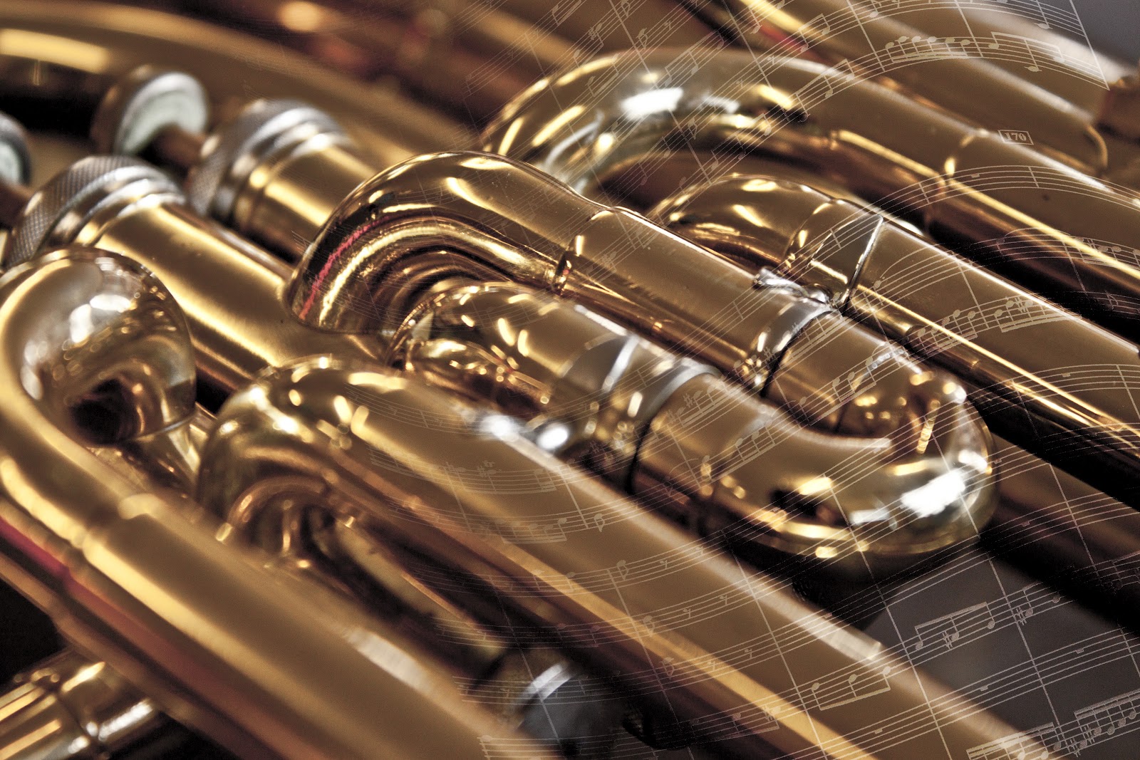 Kimberley Photography: Musical Instruments