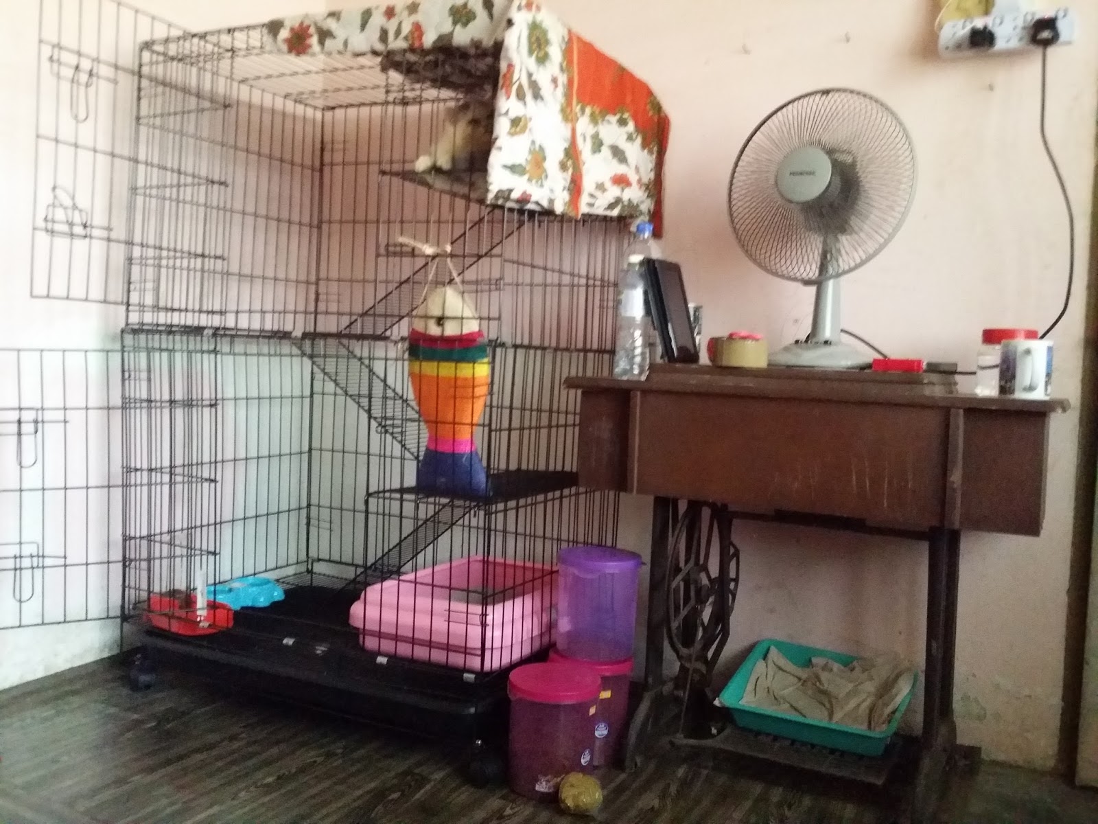 Dunia Kebahagiaanku: Bilik Untuk Kucing