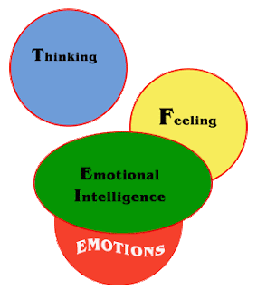 How Human Body Works