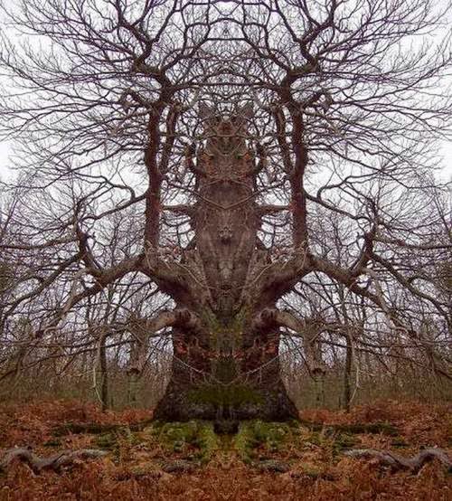 Pen Tekan Blog: [GAMBAR] 6 Gambar Bentuk Pokok Pelik Dan Unik