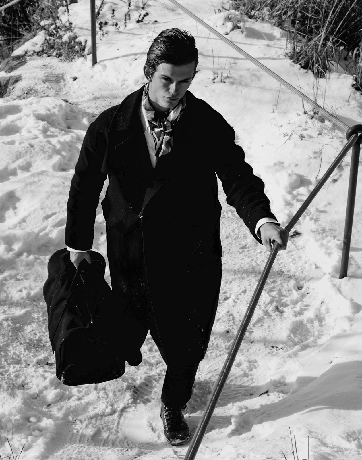 VEDOVATO – Cartola