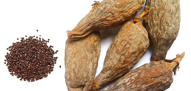 Info Ten Wellness Benefits Of Alligator Pepper | Benefit Of Fruits