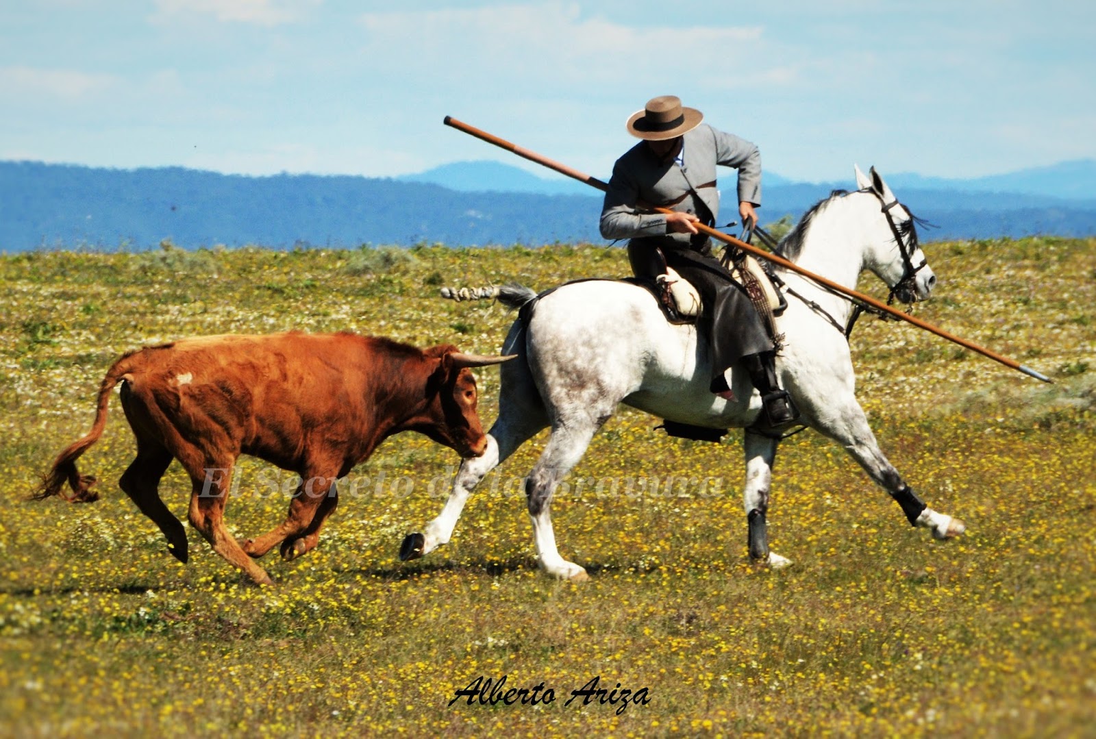 El Secreto de la Bravura: Miura, la obsesión de la bravura...