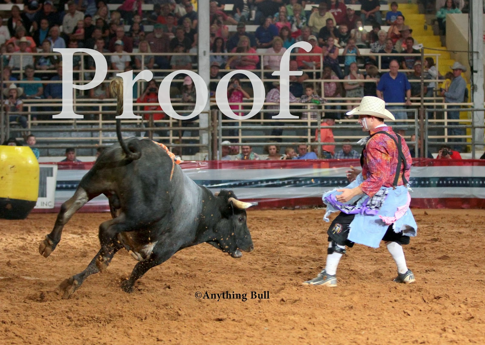 Anything Bull or Rusty: Chuck Swisher-2nd steer Friday night