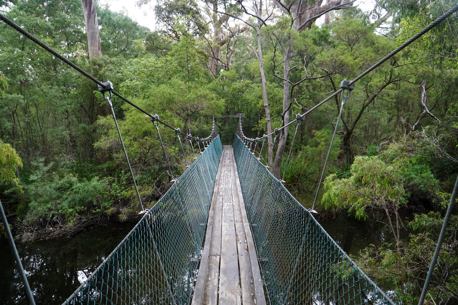 Deep River Walk Trail (Walpole-Nornalup National Park) ~ The Long Way's ...