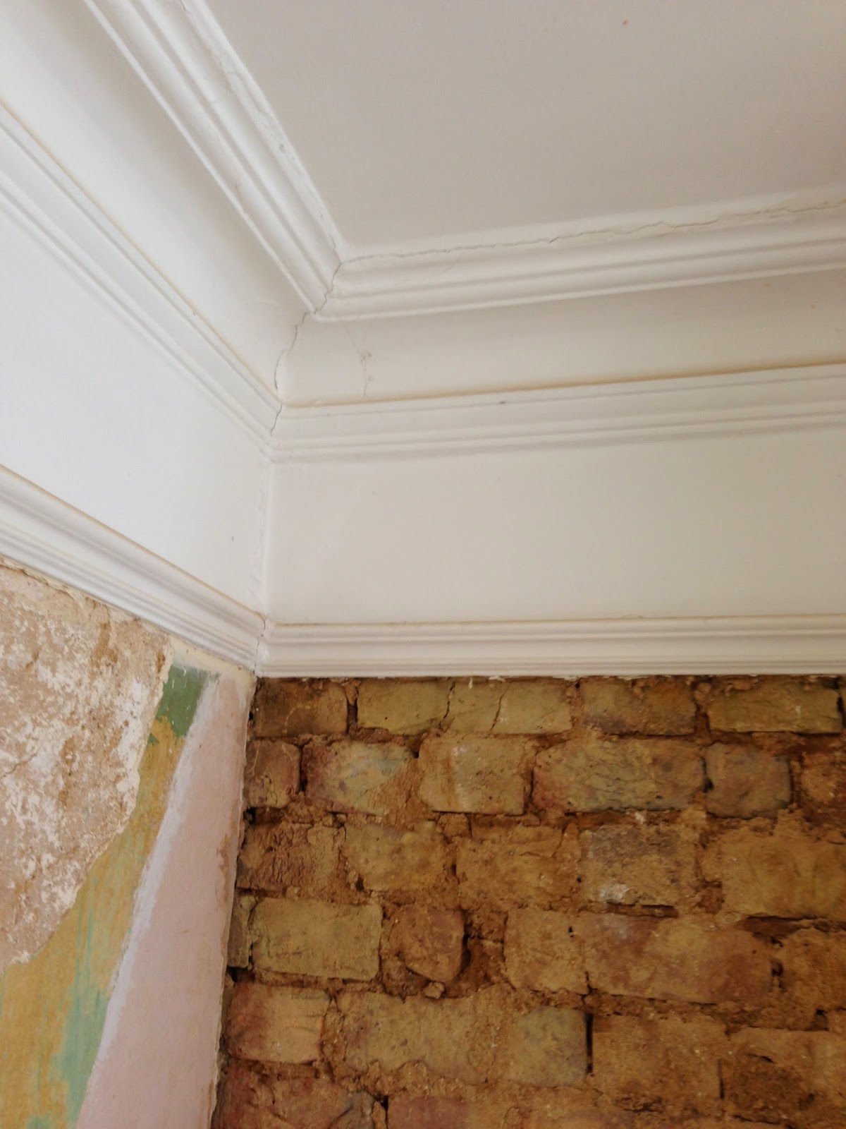 David Dangerous: Original Victorian Coving and Picture Rail