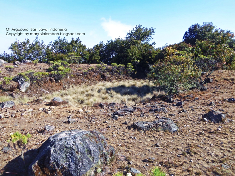 Legenda Dewi Rengganis dan Sejarah Kelam Cikasur Gunung Argopuro ...