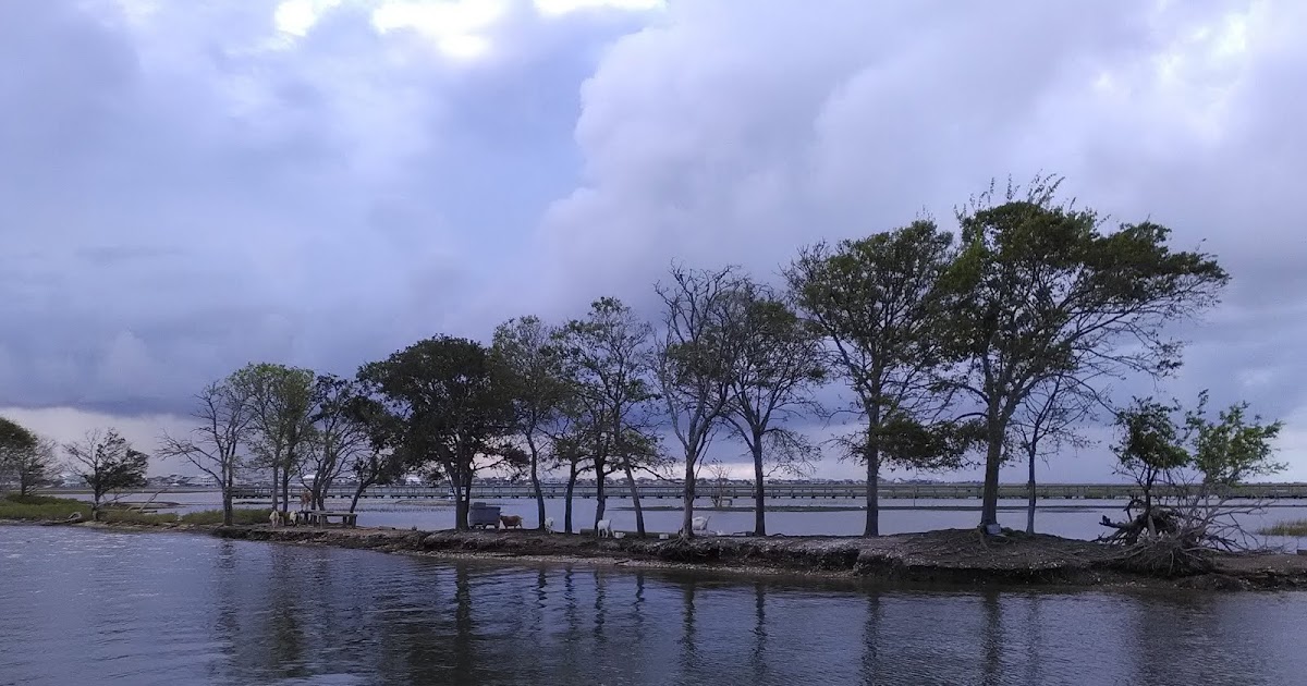 Murrells Inlet Living: Goat Island at High Tide