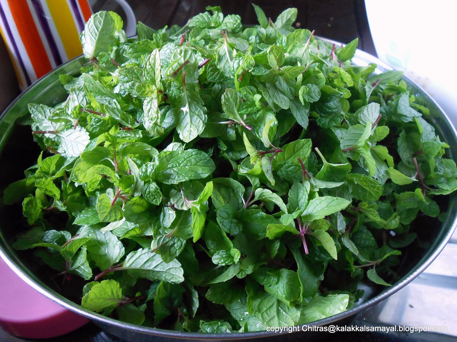 kalakkalsamayal: Preserving Pudina