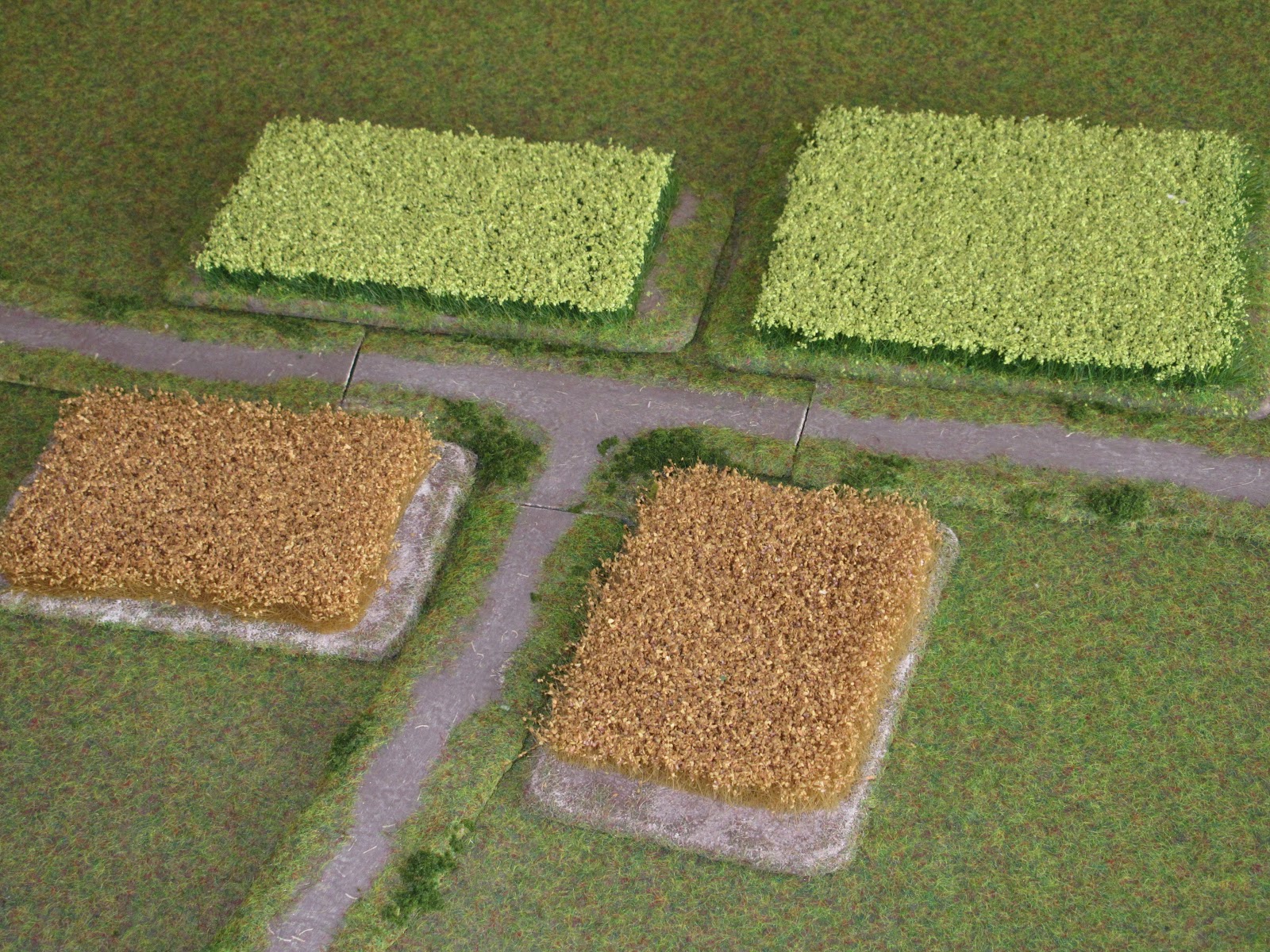 Storm within the Empire: DBA Terrain Type - Arable