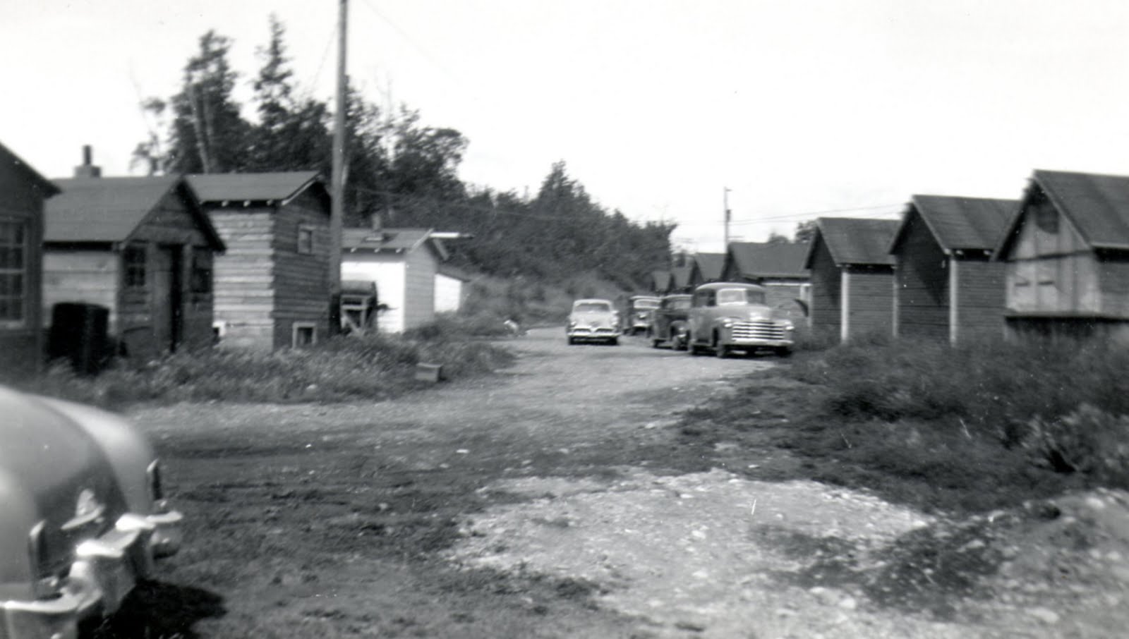 Grampa Stan Stark's Thoughts: The Buffalo Mine near Palmer Alaska