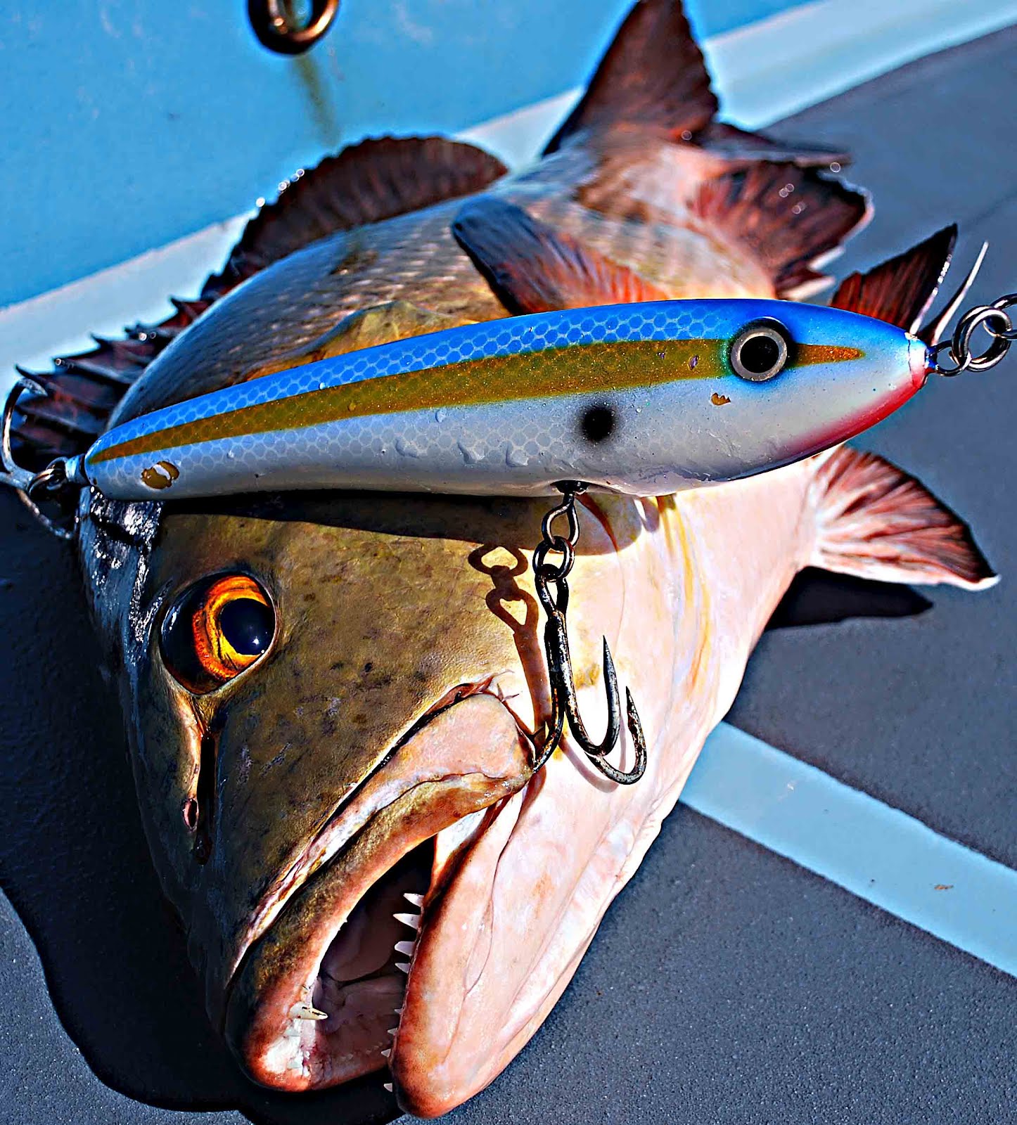Wild Fishing Anglers: Bertox Lures