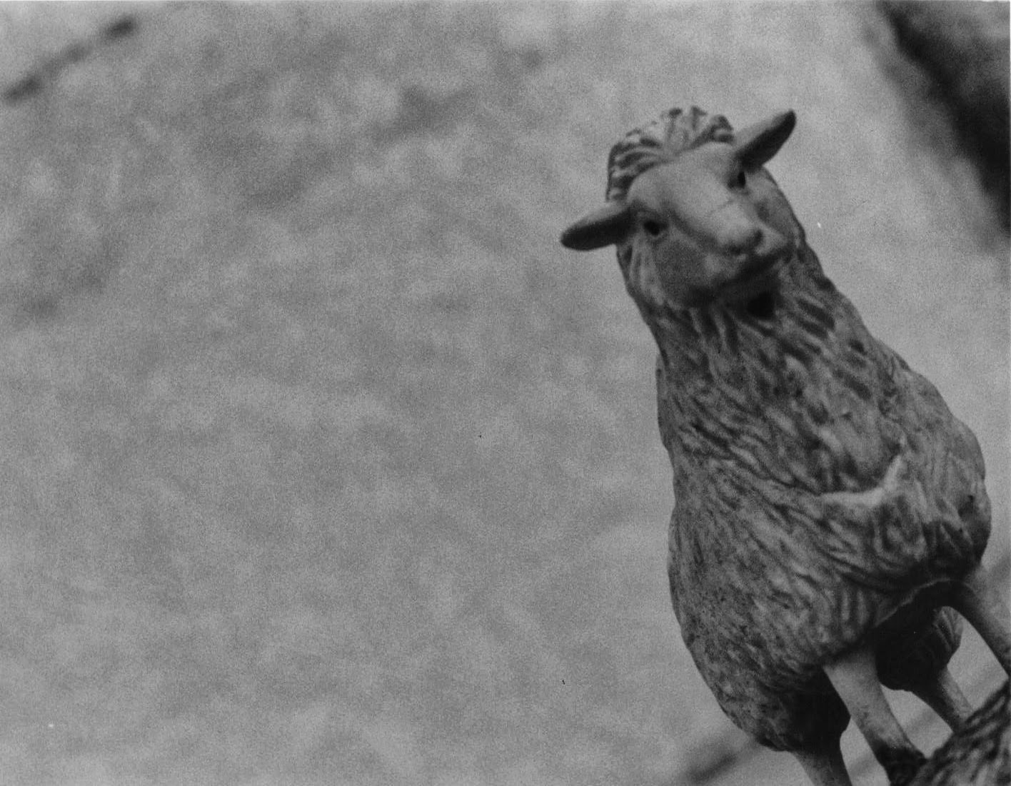 Nerdy Babble Today