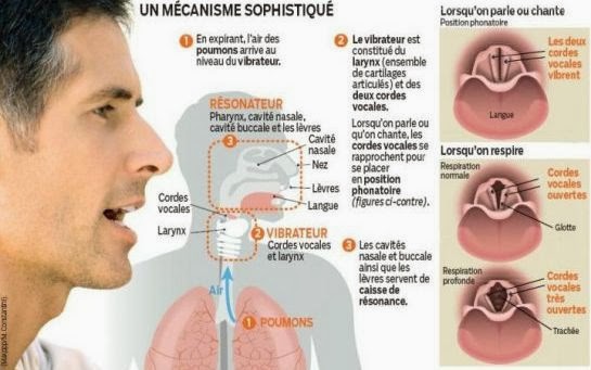 Blog 75: Infos santé-Enrouement de l'adulte